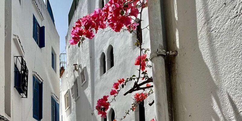 Luxury Private Tangier Tour from Marbella all inclusive - An In-Depth Look at the Tangier Tour Experience