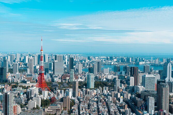 Luxury Private Tokyo Tour - Key Points