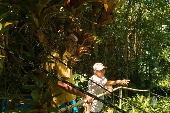 Luxury Private Tour in ST.Thomas(6per group) - Who Will Love This Tour?