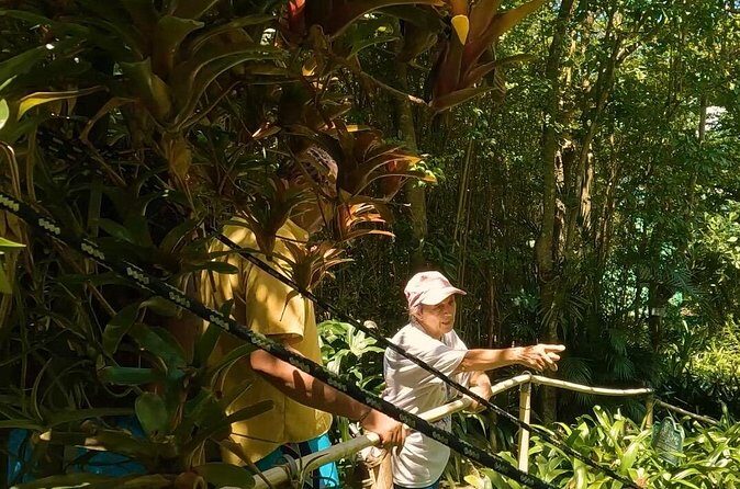 Luxury Private Tour in ST.Thomas(6per group) - FAQ