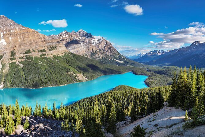 Luxury Private Tour of Lake Louise, Moraine, Peyto and Banff - Key Points