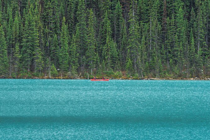 Luxury Private Tour of Lake Louise, Moraine, Peyto and Banff - Analyzing the Value