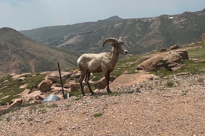 Luxury Private Van to Pikes Peak Garden of Gods - Who Will Love This Tour?