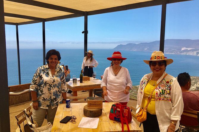 Luxury Private Wine Tasting Tour to Guadalupe Valley from San Diego - Who This Tour Is For