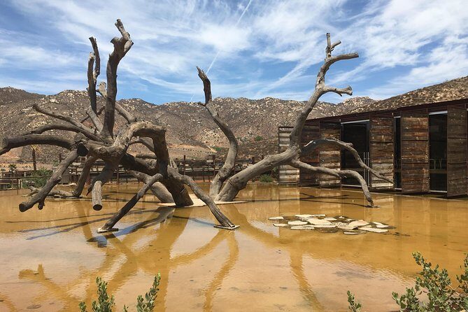 Luxury Private Wine Tasting Tour to Guadalupe Valley from San Diego - Final Thoughts