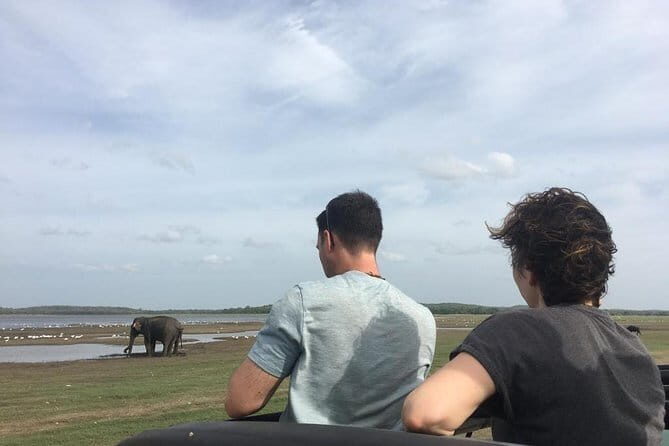 Luxury safari to minneriya national park - Final Thoughts