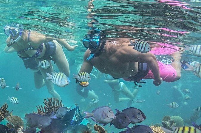 Luxury sailboat in Isla Mujeres - Who Will Love This Tour?