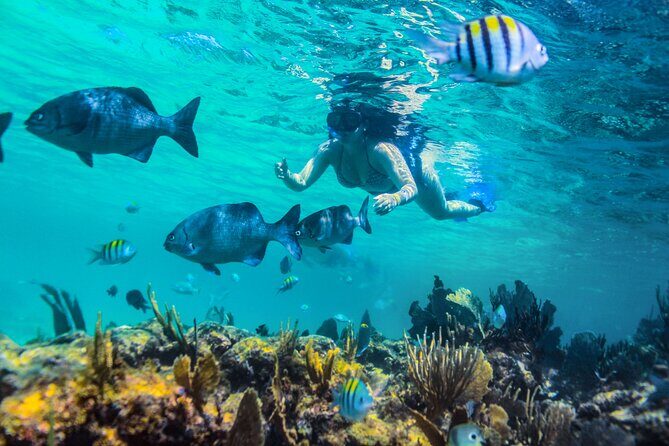 Luxury Sailing and Snorkeling Tour in Riviera Maya - Practical Tips for Booking