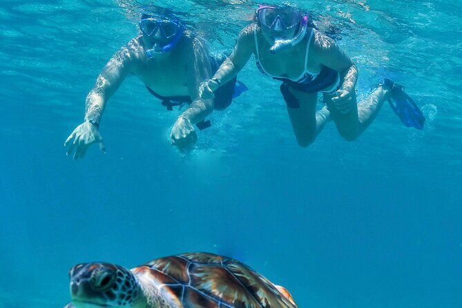 Luxury Sailing & Snorkeling Experience from Riviera Maya - Weighing the Value Against the Price