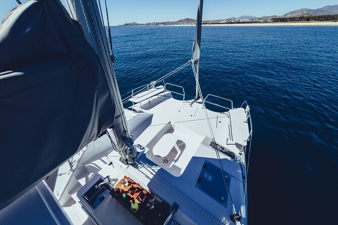 Luxury Sailing Whale Watch and The Arch (Dec 15 - Apr 15) - Key Points