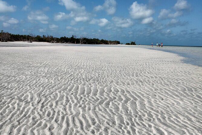 Luxury Sandbar and Snorkeling trip in Key West - Authentic Feedback and Real-Life Impressions