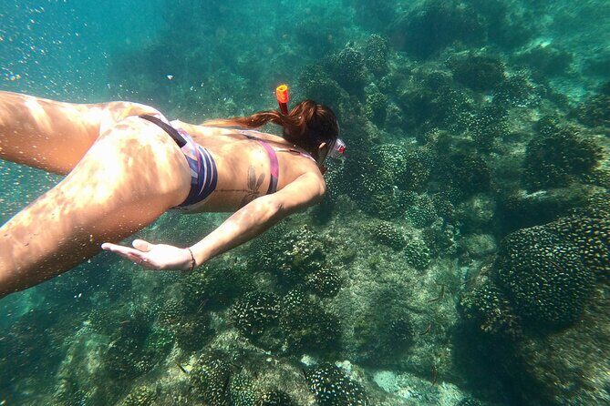 Luxury Snorkel Adventure in Cabo - What to Expect from Your Luxury Cabo Snorkeling Tour