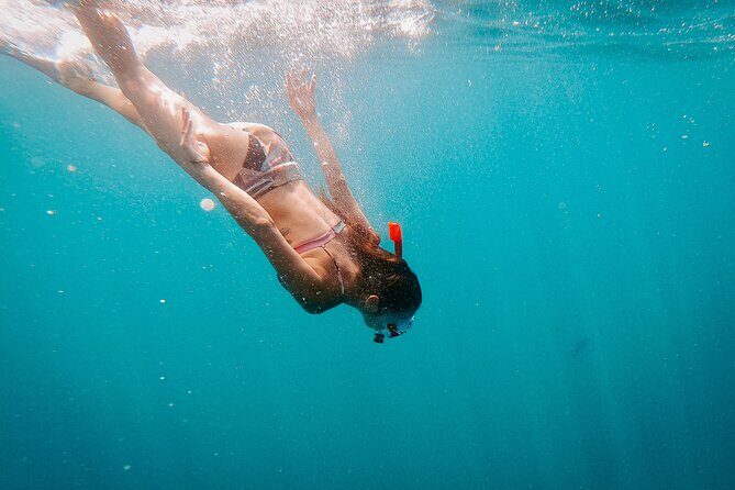 Luxury Snorkel Adventure in Cabo - Logistics and Practical Tips
