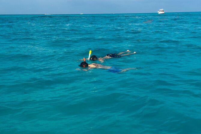 Luxury Snorkeling Excursion in Cancun  MasterCraft X-Star 2hr - A Practical Look at the Experience