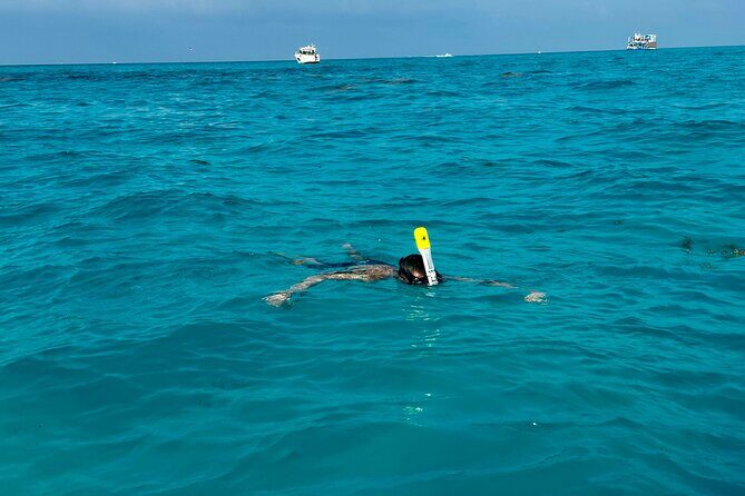 Luxury Snorkeling Excursion in Cancun  MasterCraft X-Star 2hr - FAQs