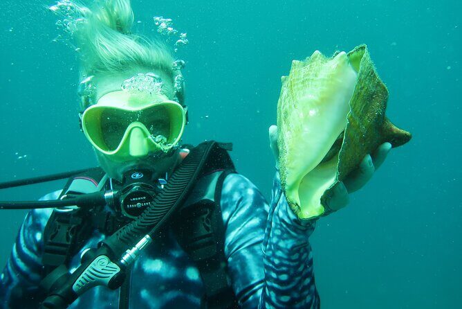 Luxury Snorkeling on Your Vacation Exclusively Private Guaranteed - Frequently Asked Questions