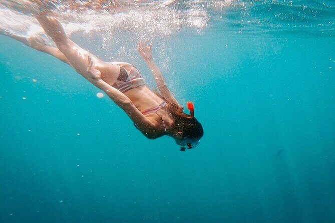 Luxury Snorkeling Tour in Cabo San Lucas - The Sum Up: Is This Tour Worth Your Time?