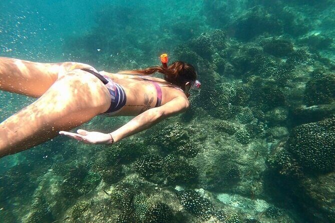 Luxury Snorkeling Tour in Cabo San Lucas - Key Points