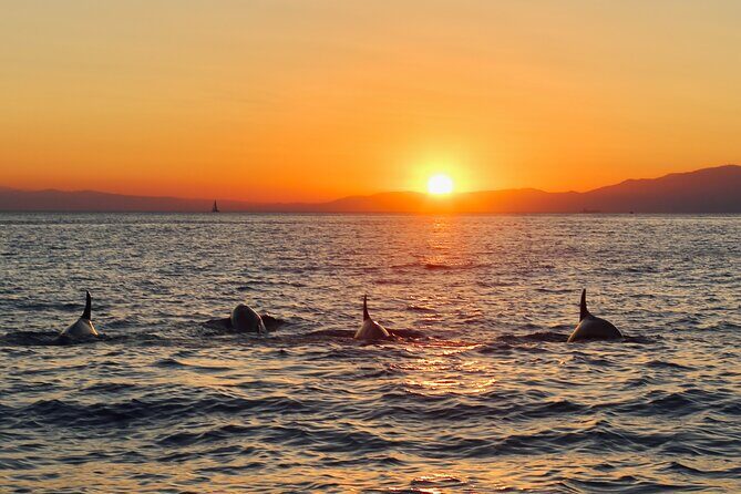 Luxury Sunset Cruise with Aperitif - What Travelers Say