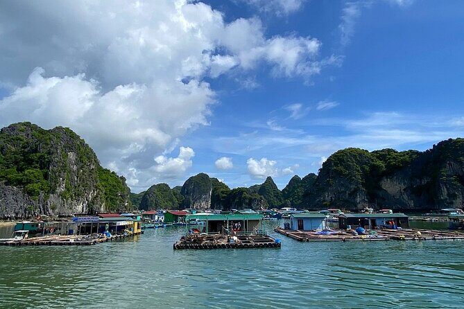 Luxury Sunset Tour: Kayaking and swimming to admire Lan Ha Bay - Who Should Consider This Tour?