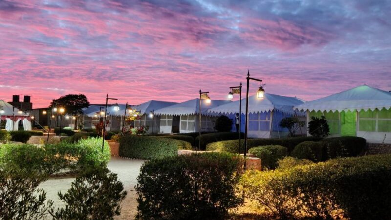 Luxury tent, dinner, breakfast, camel ride in thar desert - Key Points