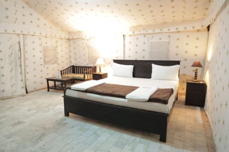 Luxury tent, dinner, breakfast, camel ride in thar desert - Authenticity, Value, and Personal Experiences