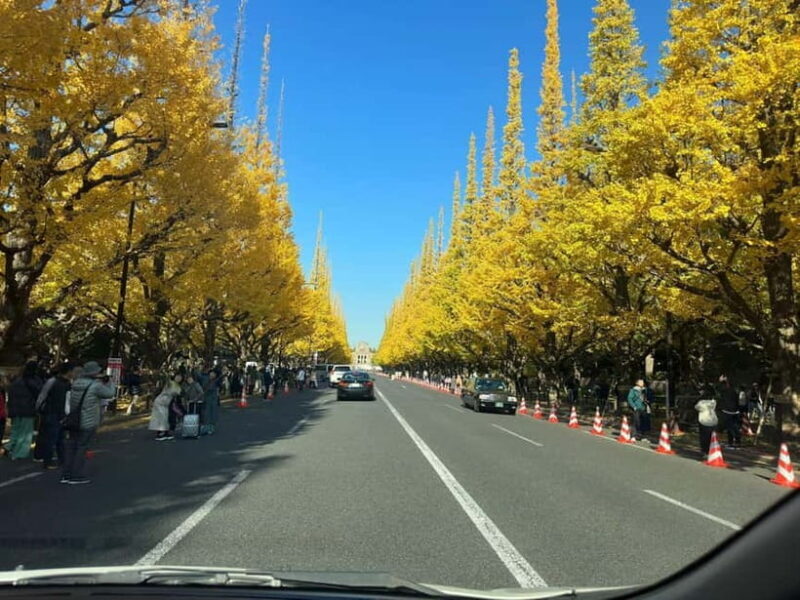 Luxury Tokyo City Attractive Full Day Private Tour - Key Points