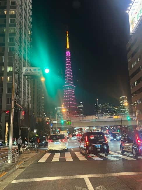 Luxury Tokyo City Attractive Full Day Private Tour - An In-Depth Look at the Tour Itinerary and Experience