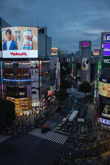 Luxury Tokyo City Attractive Full Day Private Tour - Who Is This Tour Best For?