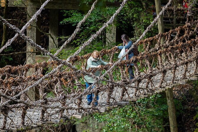 Luxury tour to Iya Valley's Kazurabashi and Oboke gorge by boat - Introduction: Why Tour Iya Valley in Style?