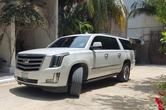 Luxury Transfers from Punta Cana to Bayahibe and La Romana - Introduction