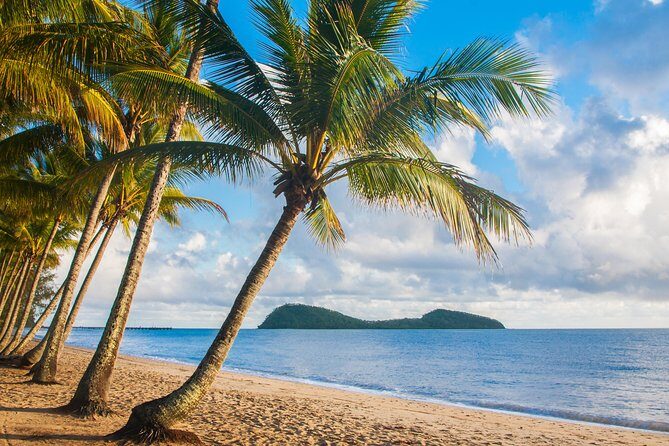 Luxury Van, Private Transfer, Cairns Airport - Palm Cove. - Wrapping It Up: Is This the Right Choice?