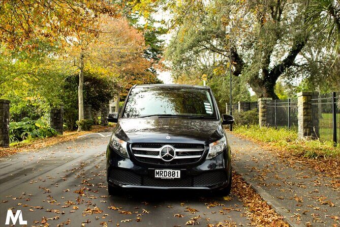 Luxury Van - Sydney Airport Private Arrival Transfer - An In-Depth Look at the Sydney Airport Private Transfer