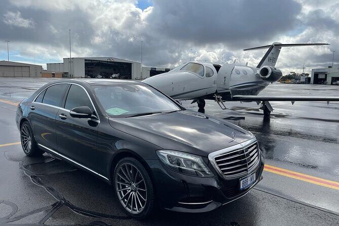 Luxury Van - Sydney Airport Private Departure Transfer - Who Should Consider This Service?