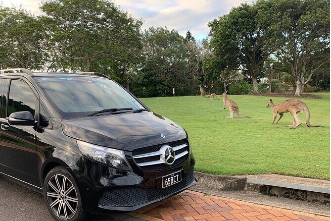 Luxury Vehicle Brisbane Airport to Brisbane Hotel Transfer - Drop-Off and End of Service