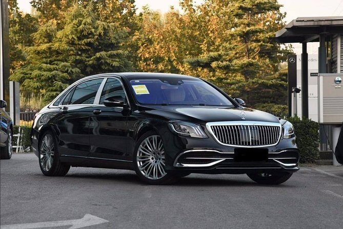 Luxury Vehicle with Private Guide to Mutianyu Great Wall and Summer Palace - Who Is This Tour Best For?