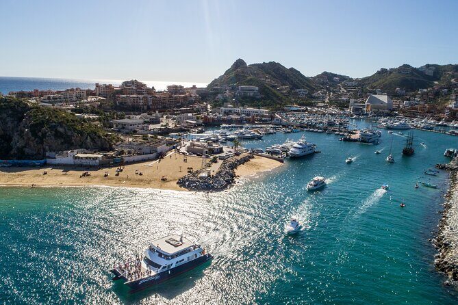 Luxury Whale Watching Dinner Cruise in Cabo - What You Can Expect from This Cabo Experience