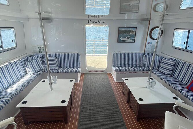 Luxury Whale Watching: Fewer People, Extra Speed, Expert Staff - The Sum Up