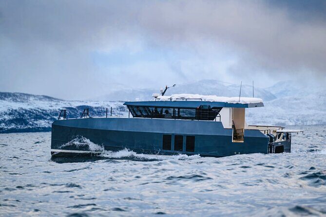 Luxury Whale Watching From Tromso - Small group and local guide - An Inside Look at the Tour Experience