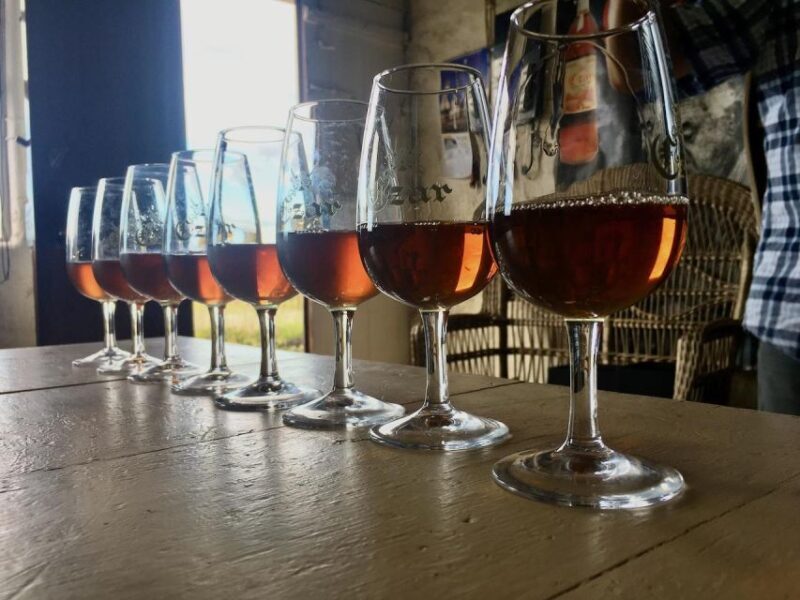 Luxury Wine Tasting at the Czar Pico Winery - What to Expect During the Tour