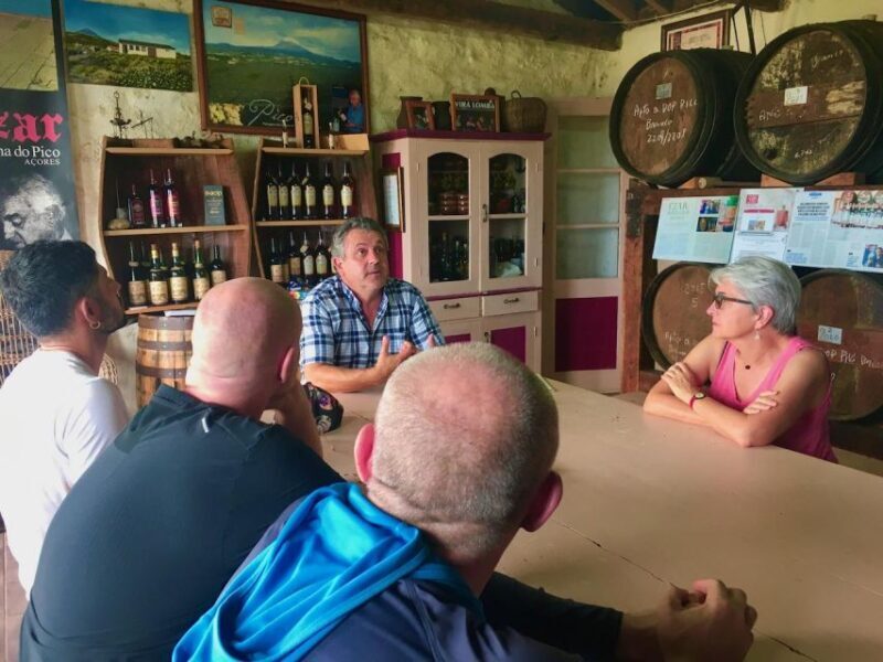 Luxury Wine Tasting at the Czar Pico Winery - Who Will Love This Tour?