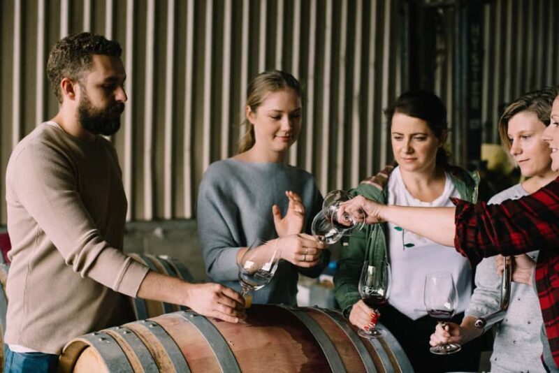 Luxury Wine Tasting & Fine Dining Trip From Sydney - Exploring the Luxury Wine Tasting & Fine Dining Trip from Sydney