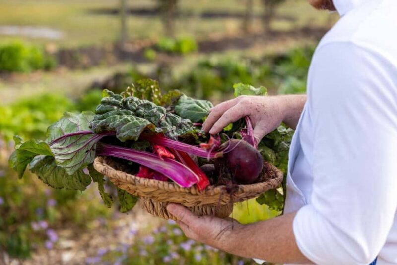 Luxury Wine Tasting & Fine Dining Trip From Sydney - The Experience in Context