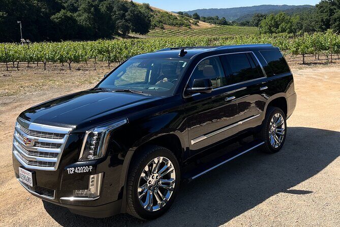 Luxury Wine Tour in Paso Robles, with a Winemaker - Introduction