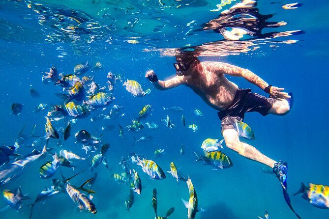 Luxury Yacht & Snorkel with All inclusive Open bar and lunch - FAQ