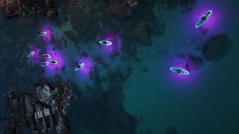LUZ Sunset in SUP with Aperitif and light show - Why This Tour Offers Value for Money