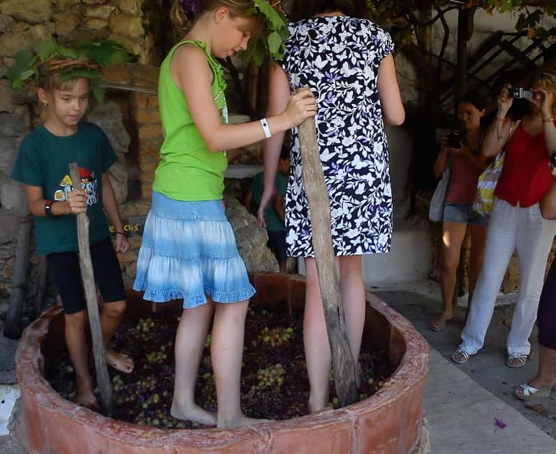 Lychnostatis Open Air Museum : Grape-Feast every Wednesday - Authenticity and Value: Is It Worth It?