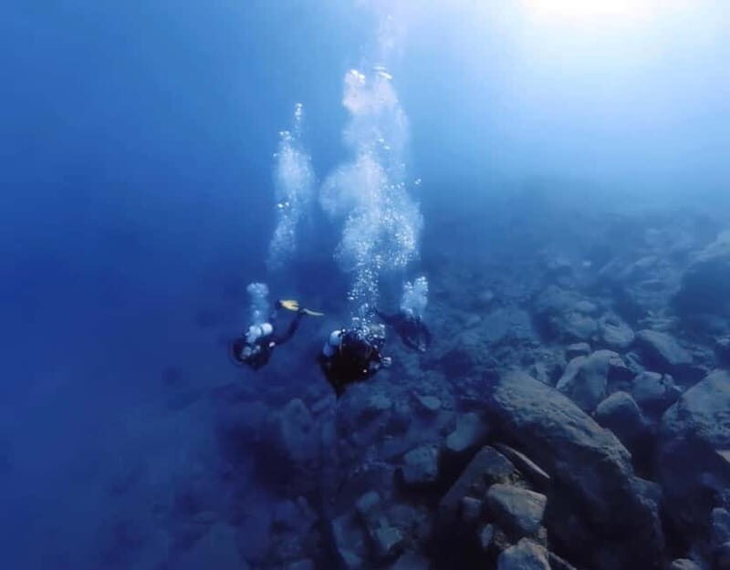 Lygaria Beach: Discover Scuba Diving Plus - Reviews and Authentic Perspectives