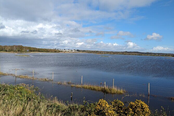 Lymington Wildlife Discovery Walk - A Closer Look at the Lymington Wildlife Discovery Walk
