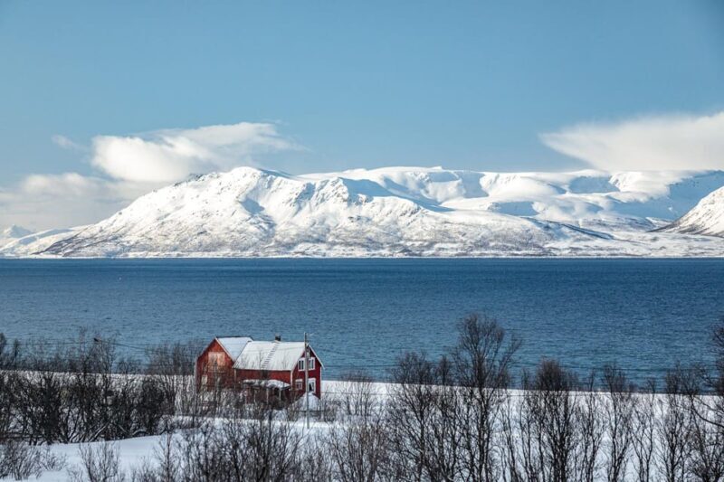 Lyngen: Snowmobile Safari with Lunch in seaside Restaurant - The Experience in Practice